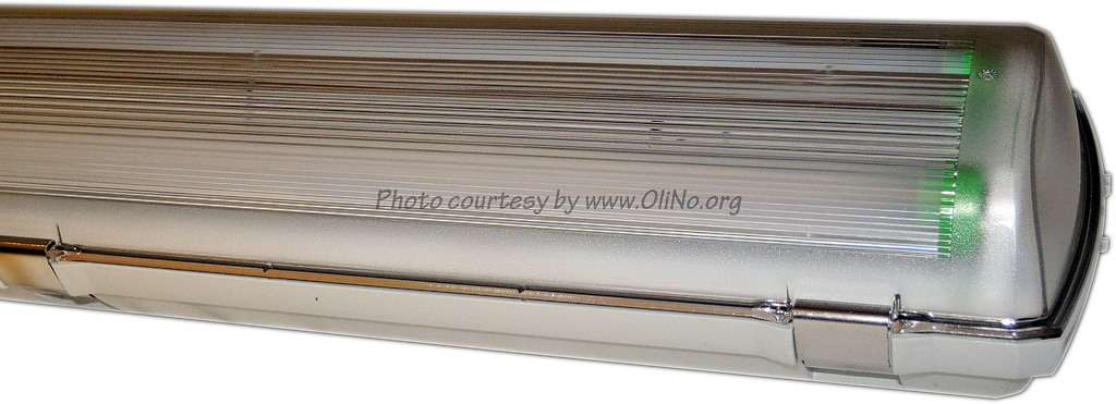 Luminesense – IP66 armatuur dubbel 150cm ledbuis – OliNo